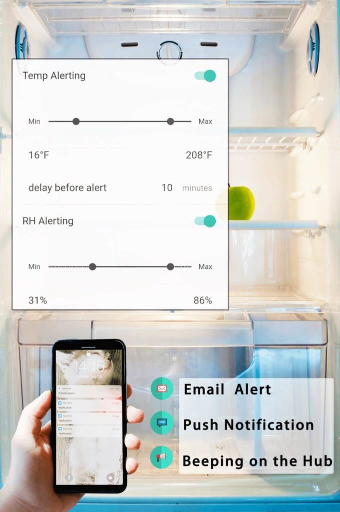 School Cafeteria – MOCREO