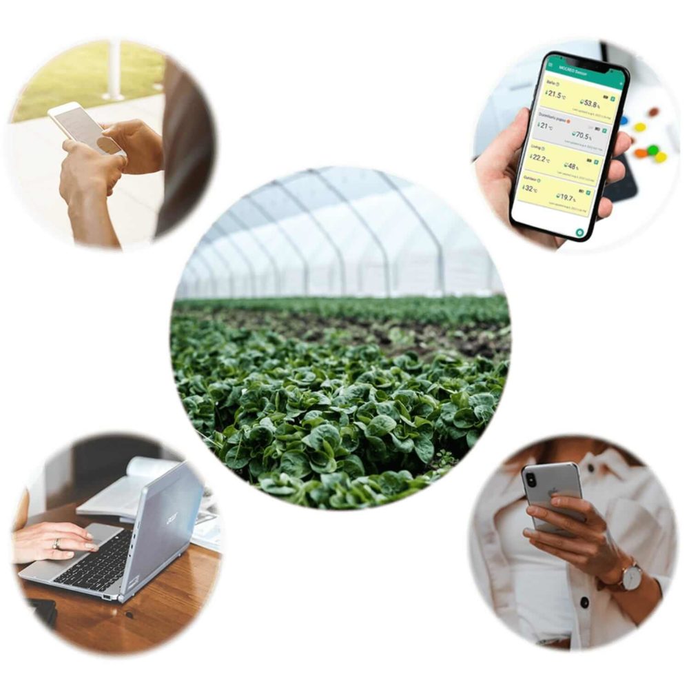 Temperature monitoring for greenhouse – MOCREO