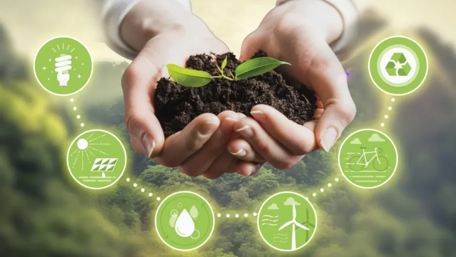 Sustainability – MOCREO